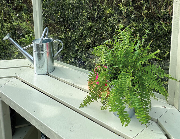 The Thetford Octagonal – Coppice Collection