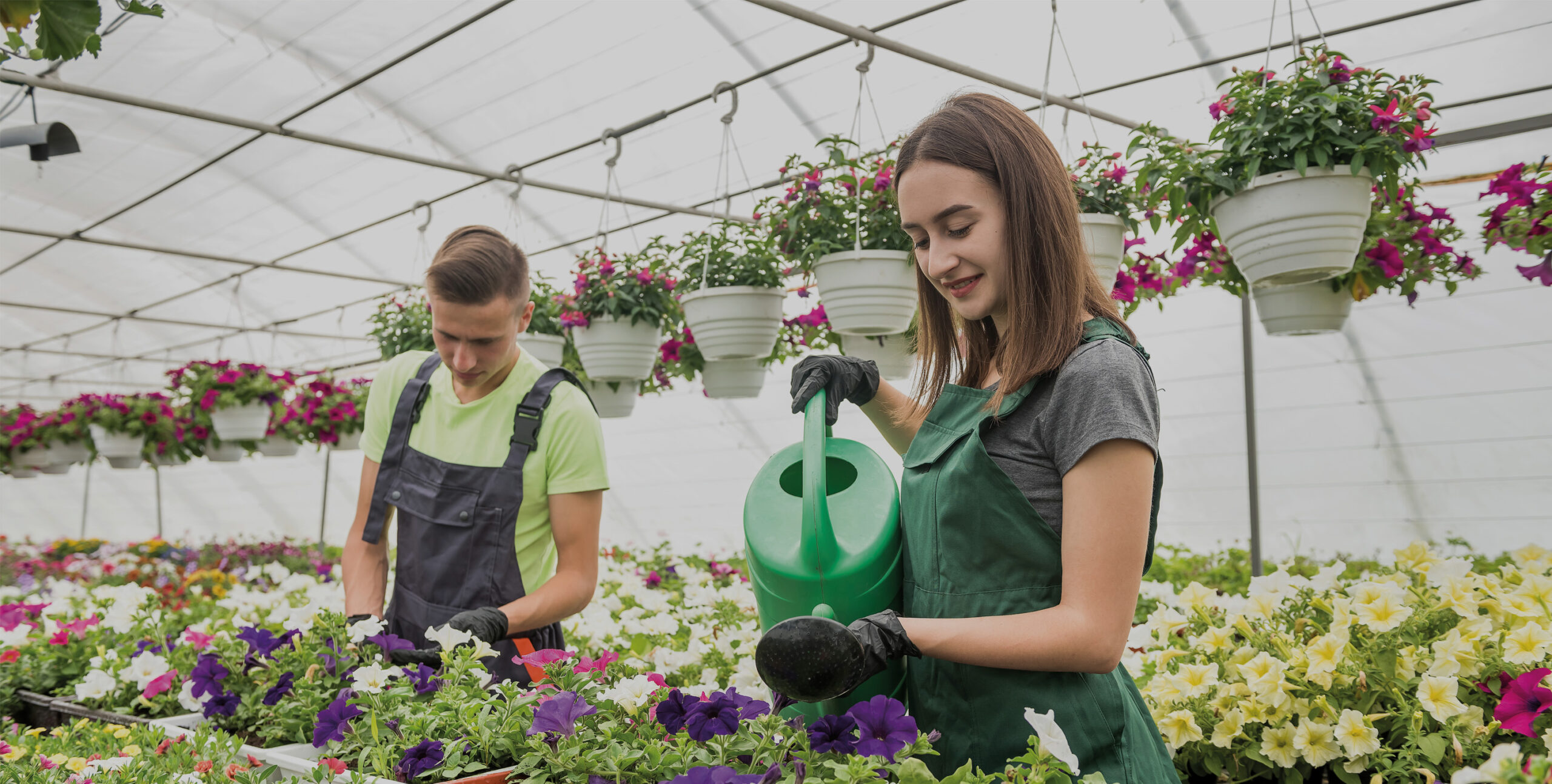 Contact Us – Coppice Collection